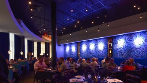 Gallery | Selva Grill Sarasota