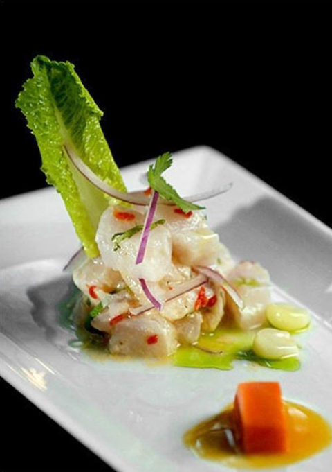 Gallery | Selva Grill Sarasota